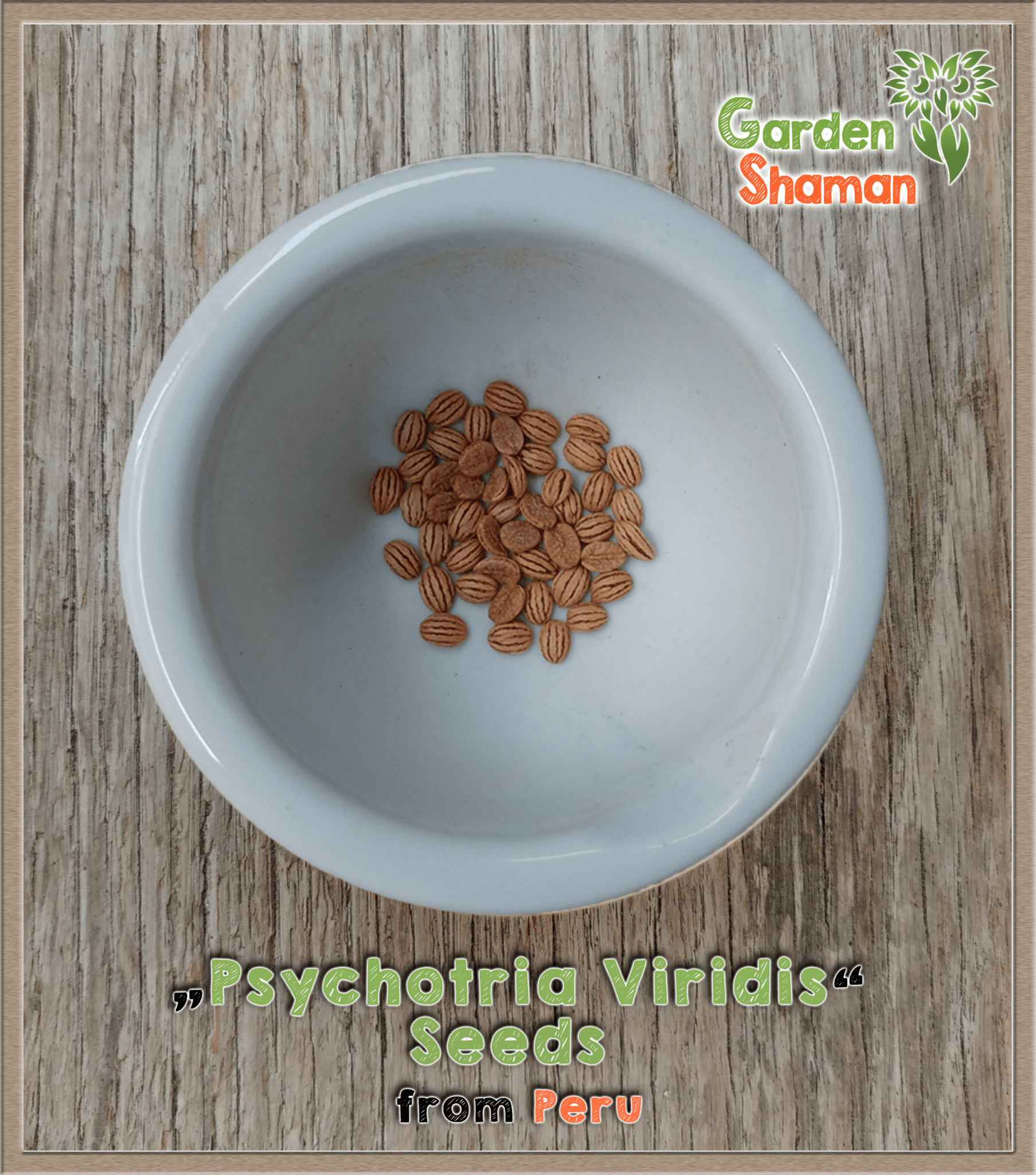 Chacruna (Psychotria viridis) Seeds - GardenShaman.eu - Your source for ...